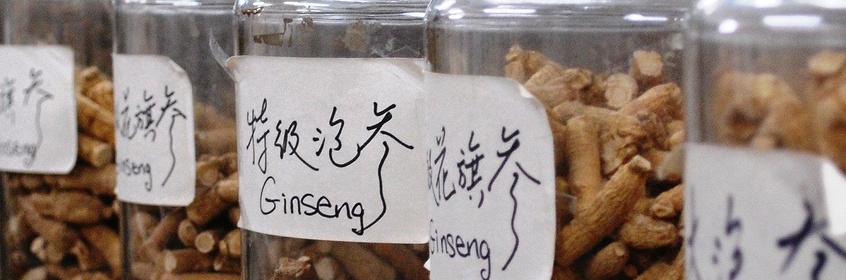 Ginseng – An Overview *Part 2*