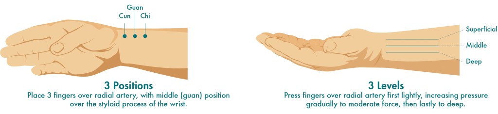 Pulse Power: Understanding Pulses In Chinese Medicine