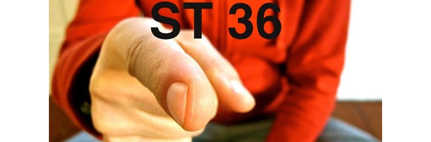 What's the Point?: Stomach 36