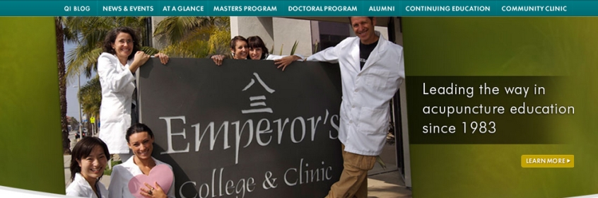 Top 5 Lessons I Learned in My First Year of Acupuncture School